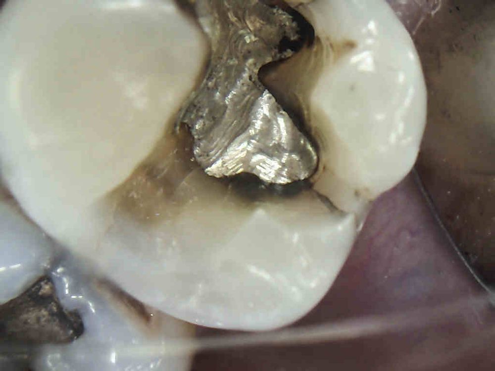 CRAIG AHRENS - Updated November 2025 - 30 Photos - 520 E Nw Hwy ...