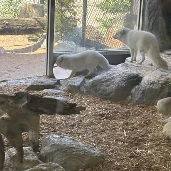 TULSA ZOO - Updated August 2025 - 529 Photos & 142 Reviews - 6421 E ...