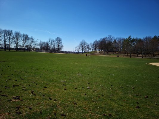 20TH CENTURY PARK - Updated June 2026 - 12 Photos - 75 Elizabeth St ...