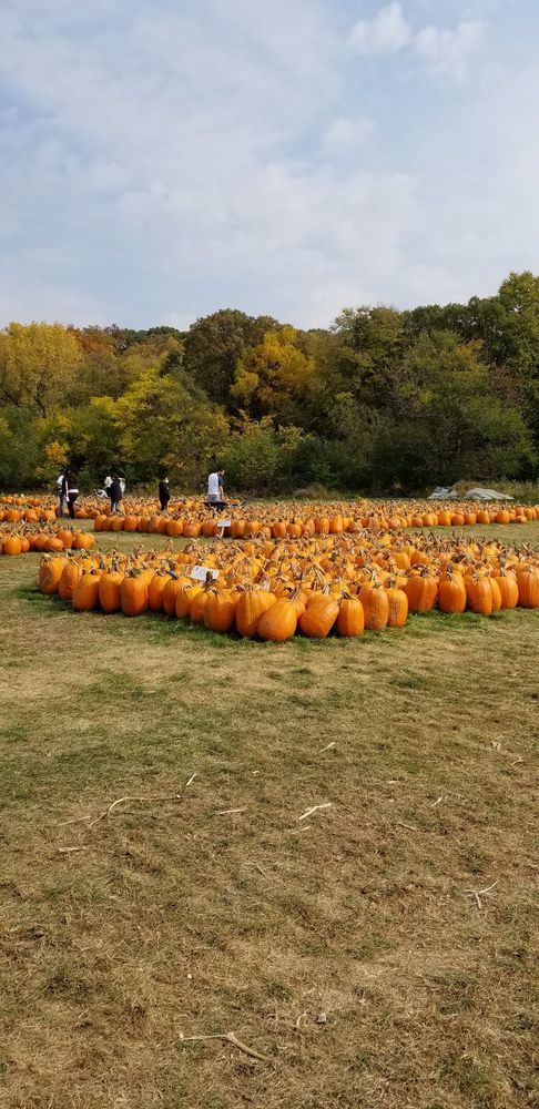 DOLLINGER FAMILY FARM - TEMP. CLOSED - 116 Photos & 35 Reviews - 7420 E ...