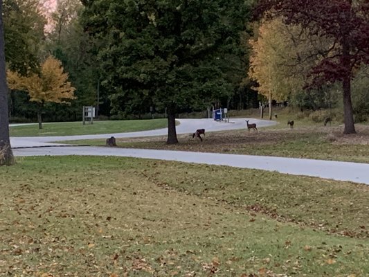 KICKAPOO STATE PARK - Updated December 2025 - 33 Photos & 28 Reviews ...