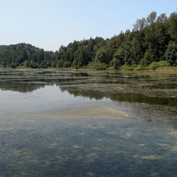 CHEAM LAKE WETLANDS REGIONAL PARK - Updated December 2025 - 53480 Elgey ...