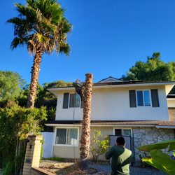ALL ACCESS TREE CARE - 148 Photos & 190 Reviews - Tree Services - 289 ...