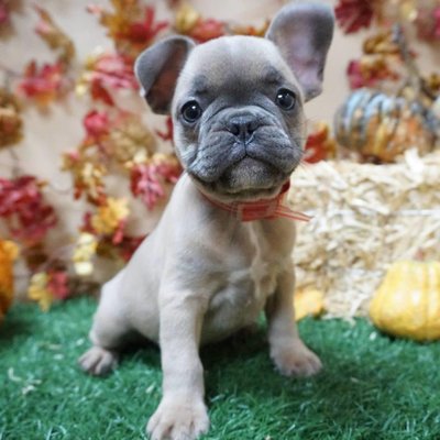 PETLAND RACINE - 2310 S Green Bay Rd, Racine, Wisconsin - Updated ...