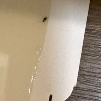 UNIVERSITY COMMONS - Updated December 2025 - 47 Photos & 15 Reviews ...