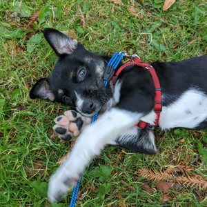 RAGLE RANCH REGIONAL PARK - 56 Photos & 42 Reviews - 500 Ragle Rd ...