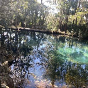 WELAKA STATE PARK - MUD SPRINGS - 10 Photos - Welaka, Florida - Hiking ...