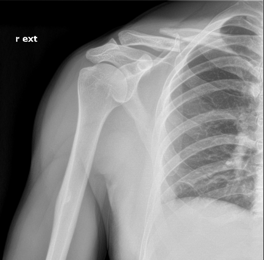 PERRY R SECOR, MD - Updated November 2025 - 31 Reviews - Los Alamitos ...