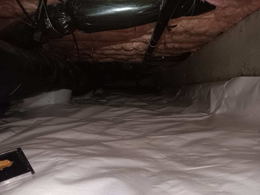 NORTHWEST CRAWL SPACE SERVICES - Updated November 2025 - 27 Photos & 14 ...