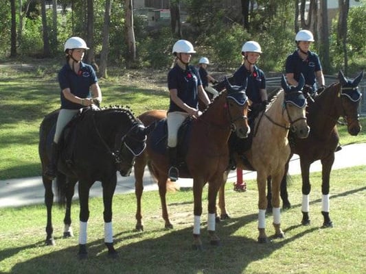 FOREST LAKE RIDING SCHOOL - Updated October 2025 - 19 Greentree Cres ...