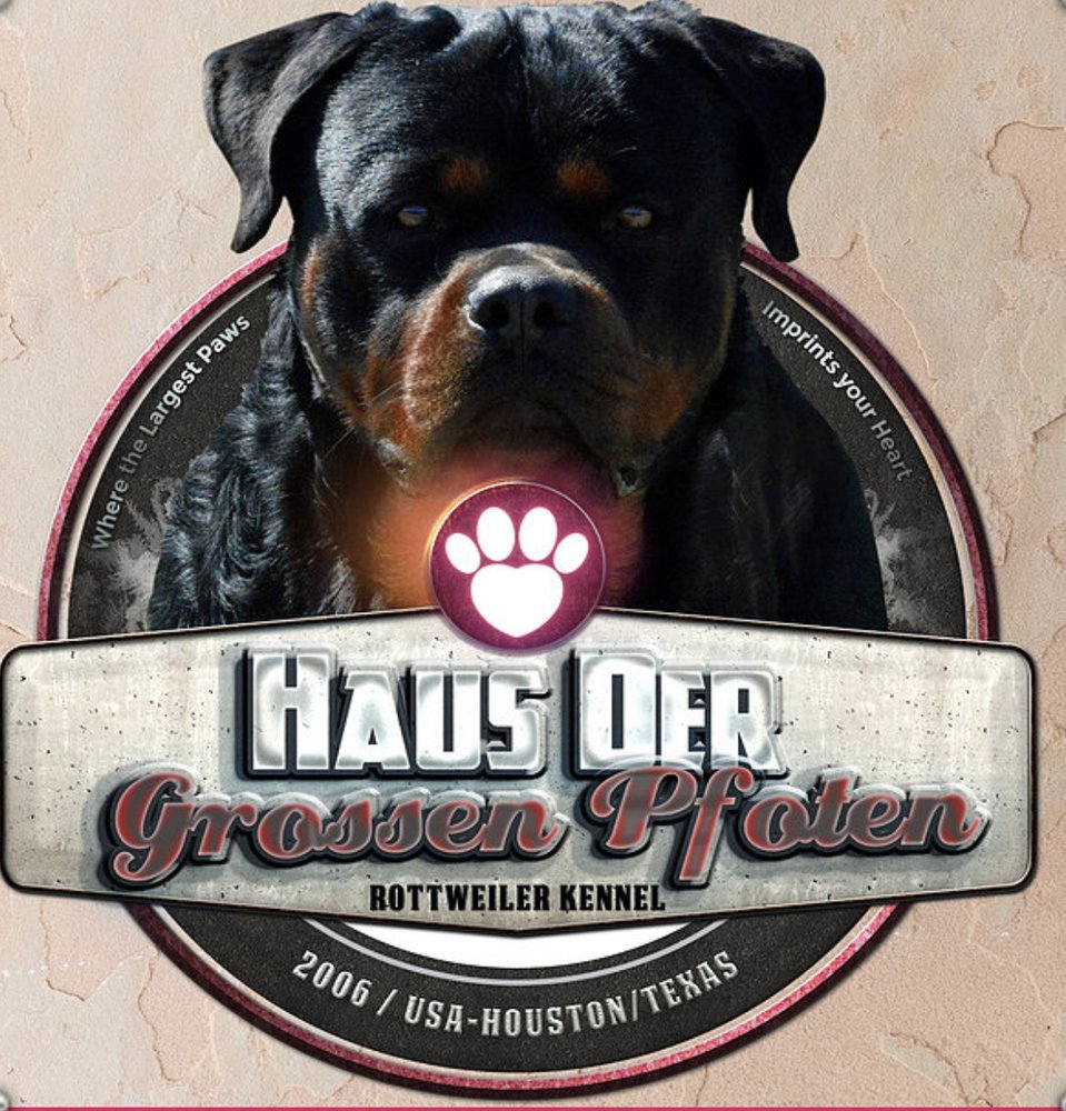 HAUS DER GROSSEN PFOTEN ROTTWEILERS - Updated July 2025 - Houston ...