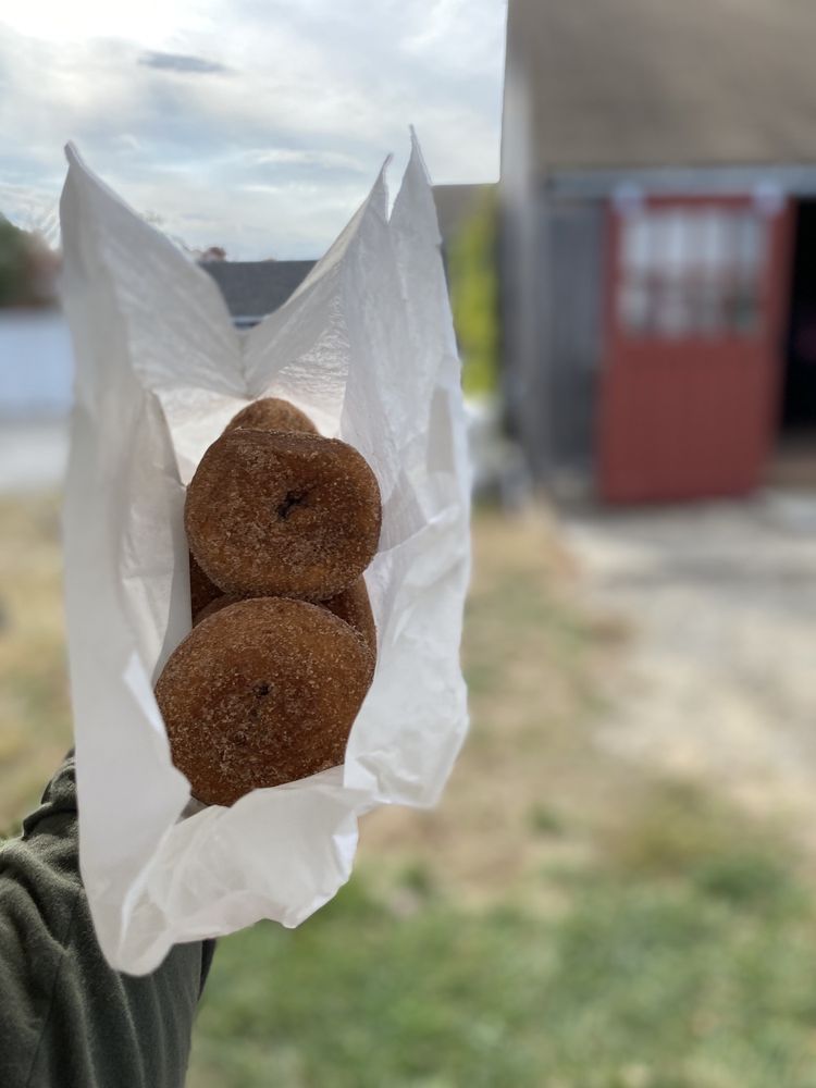 HOLMBERG ORCHARDS - 235 Photos & 86 Reviews - 12 Orchard Ln, Gales ...