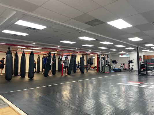 UFC GYM - Updated March 2025 - 19 Photos & 27 Reviews - 28817 US Hwy 19 ...