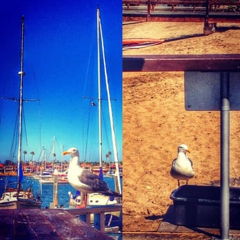 AMERICAN LEGION YACHT CLUB - Updated October 2025 - 33 Photos & 20 ...