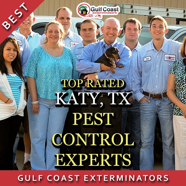 GULF COAST EXTERMINATORS - 23501 Cinco Ranch Blvd, Katy, Texas - Pest ...