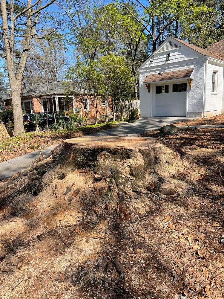 EVERLAST TREE SERVICES & STUMP GRINDING - Updated October 2025 - 58 ...