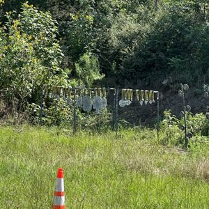 CCC SHOOTING COMPLEX - Updated December 2025 - 9010 Bob Moore Rd ...