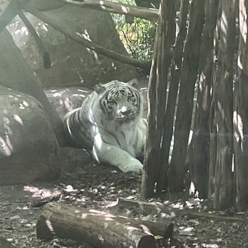 CALDWELL ZOO - Updated October 2025 - 440 Photos & 121 Reviews - 2203 W ...