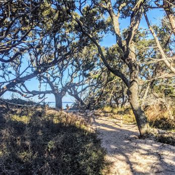 SPRINGER’S POINT PRESERVE - Updated July 2025 - 99 Photos & 12 Reviews ...