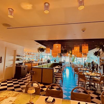 HAPPY MONKEY - Updated January 2026 - 210 Photos & 107 Reviews - 376 ...