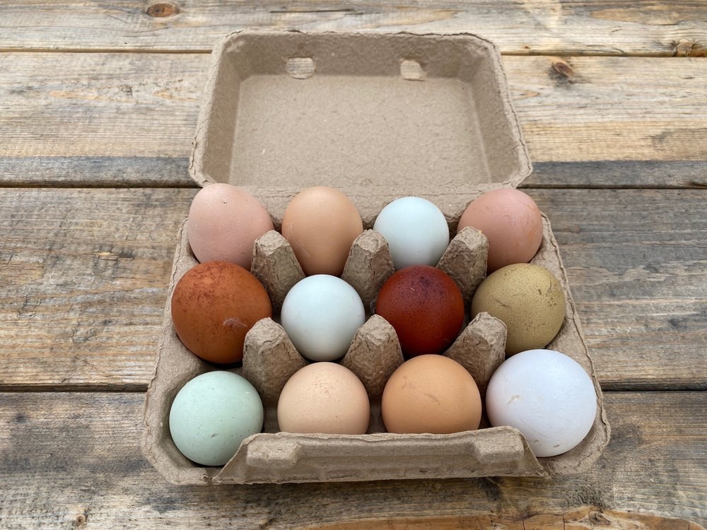 STONY ROSE HOMESTEAD - Updated May 2025 - 20 Photos - Kingston, New ...