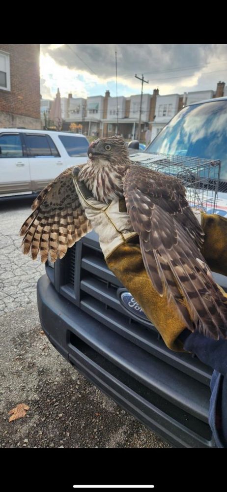 DELAWARE COUNTY ANIMAL CONTROL - Updated December 2025 - 237 Photos ...