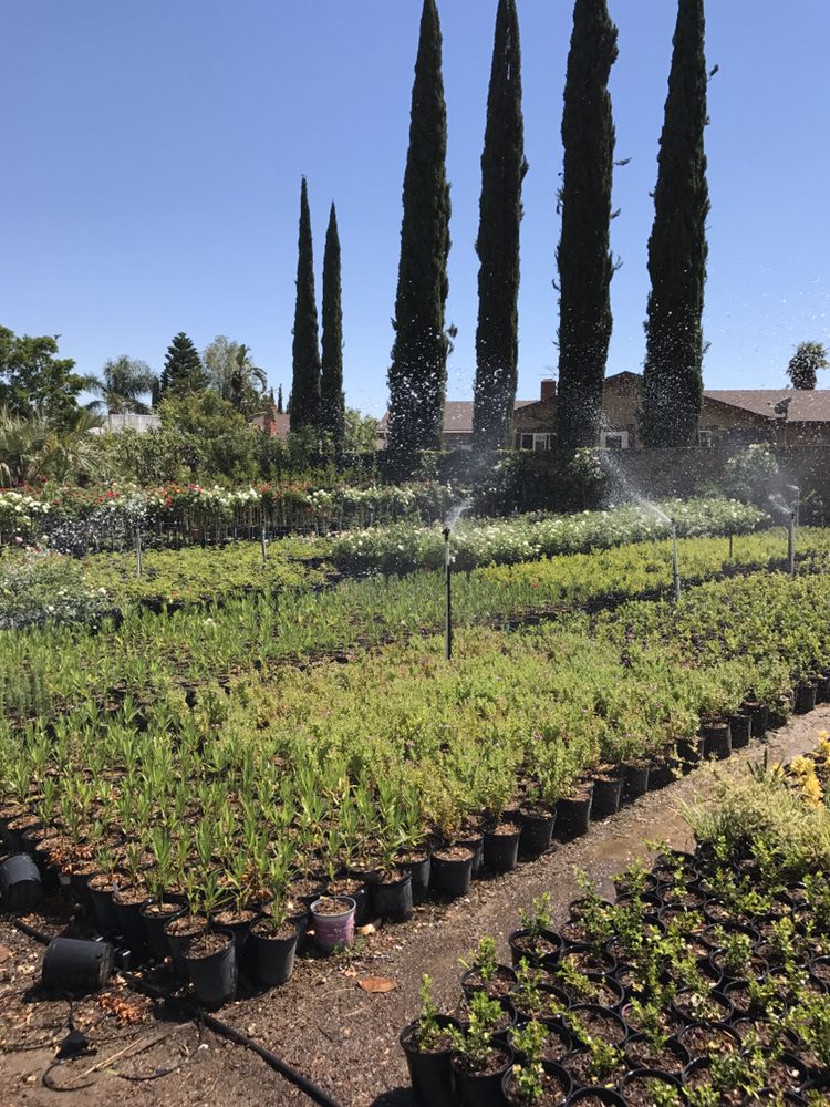 MACIAS NURSERY - Updated December 2025 - 13 Photos & 14 Reviews - 15594 ...