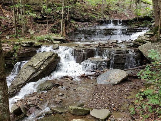 LEONARD HARRISON STATE PARK - 34 Photos & 11 Reviews - Parks - 4797 Rte ...