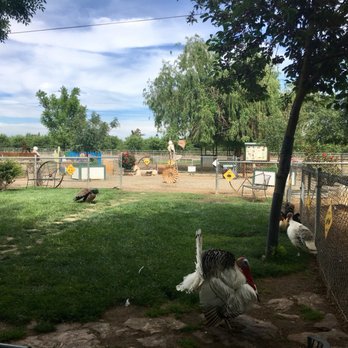 MERCED FRUIT BARN - Updated January 2026 - 43 Photos & 28 Reviews ...