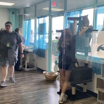 MOCHAS AND MEOWS - Updated July 2024 - 121 Photos & 68 Reviews - 3265 ...