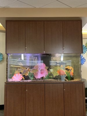 OHIOHEALTH BING CANCER CENTER - Updated January 2026 - 12 Photos & 10 ...