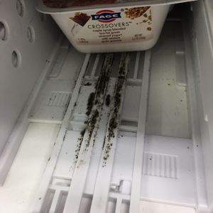 SHOPRITE OF JACKSON - 32 Photos & 37 Reviews - 260 North County Line Rd ...