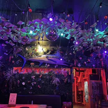 THE OCTOPUS BAR - Updated March 2025 - 357 Photos & 340 Reviews - 2121 ...