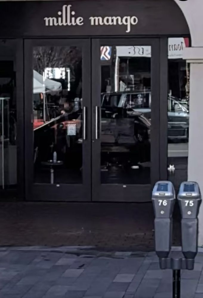 MILLIE MANGO - Updated August 2024 - 60 Reviews - 1419 Burlingame Ave ...