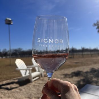 SIGNOR VINEYARDS - Updated June 2025 - 718 Photos & 295 Reviews - 362 ...
