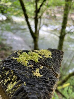 TUMWATER HISTORICAL PARK - Updated September 2024 - 59 Photos & 21 ...