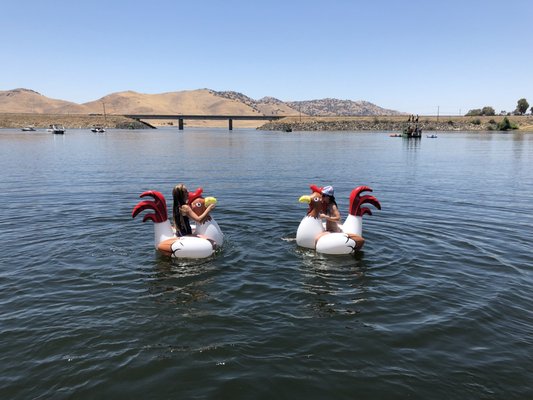 LAKE SUCCESS - Updated July 2025 - 17 Photos & 13 Reviews - 29330 ...