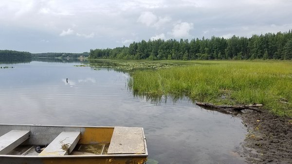 SCOUT LAKE STATE RECREATION AREA - Updated July 2025 - 38099 W Scout ...