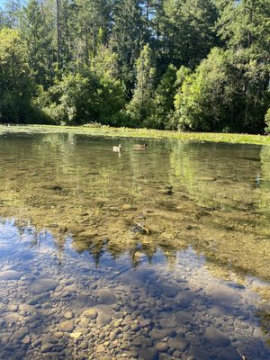 SPANAWAY PARK - Updated April 2024 - 52 Photos & 13 Reviews - 15588 ...