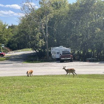 BLEDSOE CREEK STATE PARK - Updated May 2025 - 69 Photos & 25 Reviews ...