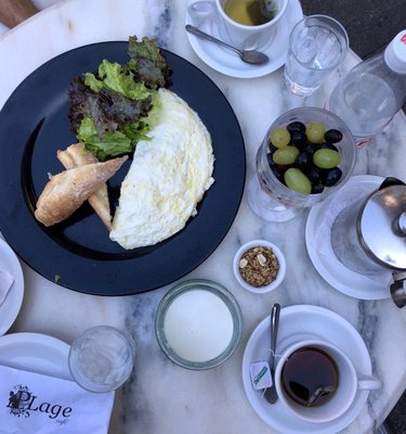 PARQUE LAGE - 207 Photos & 60 Reviews - R. Jardim Botânico, 414, Rio de ...