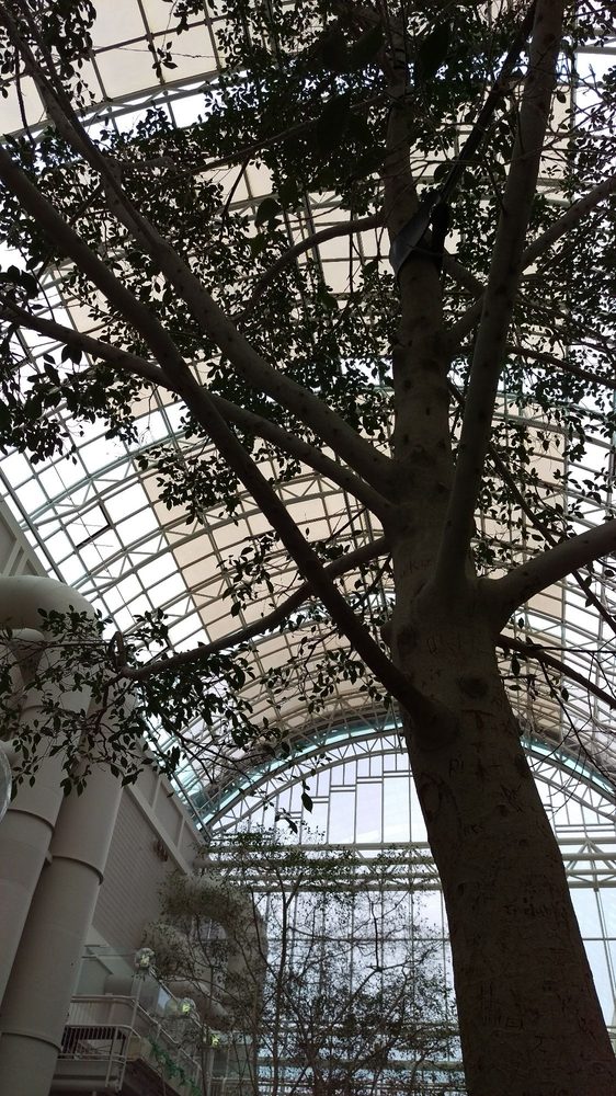 UNIVERSITY OF ALBERTA HOSPITAL - 29 Photos & 19 Reviews - Hospitals ...