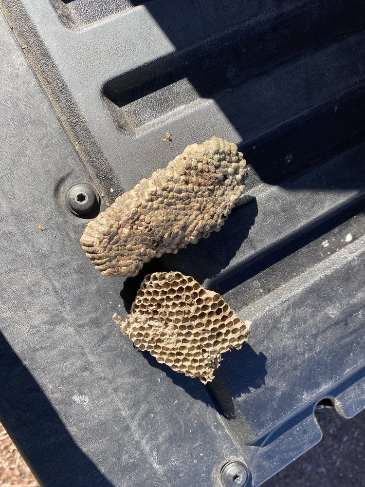 KING PEST MANAGEMENT - Updated October 2025 - 18 Photos & 14 Reviews ...