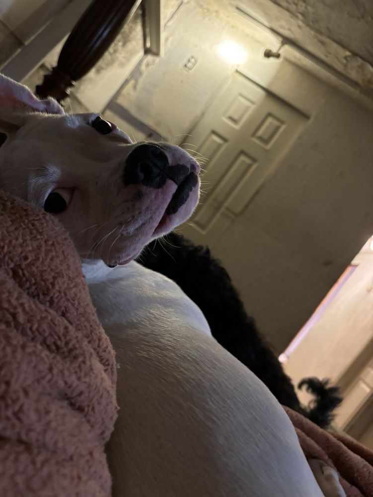 WILHELMINA MODELS LA - Updated September 2025 - 21 Photos - 9378 ...