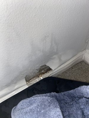 HILLSIDE RANCH - Updated May 2024 - 17 Photos & 19 Reviews - 1350 N LBJ ...