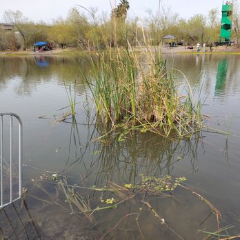 TRES RIOS WETLANDS - Updated October 2025 - 43 Photos - Phoenix ...
