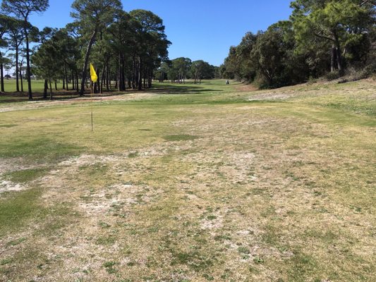 ISLE DAUPHINE GOLF CLUB - Updated October 2025 - 100 Orleans Dr ...