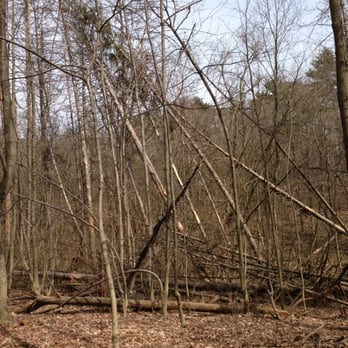 MITCHELL MEMORIAL FOREST - Updated November 2025 - 78 Photos & 10 ...