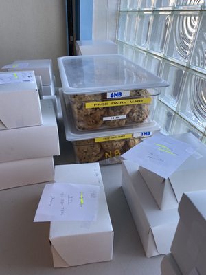 NANCY B’S BAKERY - Updated September 2024 - 64 Photos & 129 Reviews ...