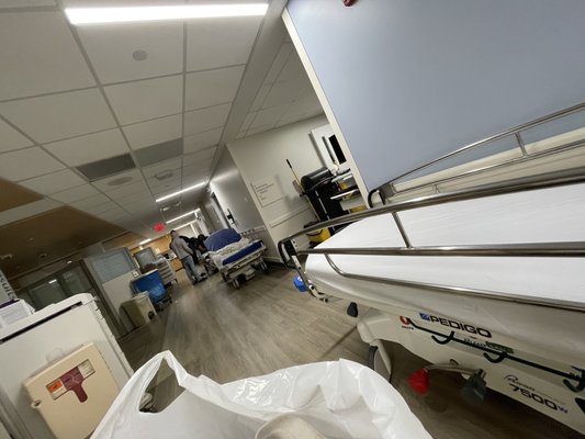 SOUTH SHORE UNIVERSITY HOSPITAL - Updated June 2024 - 51 Photos & 112 ...